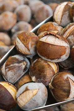 Baifeng Food,Focus on Chestnuts&Berry