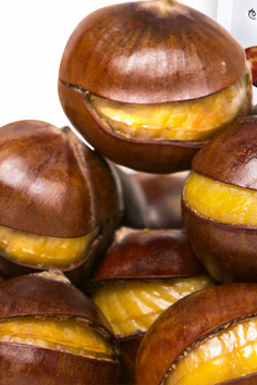 Baifeng Food,Focus on Chestnuts&Berry