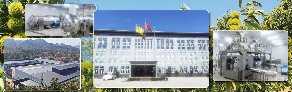 Baifeng Food,Focus on Chestnuts&Berry - Baifeng Food,Focus on Chestnuts ...